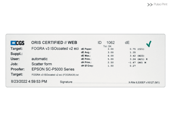 Printing Files Validation | Pulsio Print
